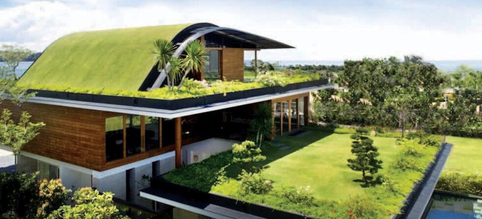 Building Design Trends – Green Roofs | Property Reimagined